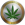 CannabisCoin CANN