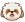 Shih Tzu SHIH