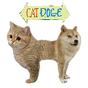 CAT DOGE (CATDOGE)