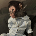 Monkey Taken By Police (JORGIE)