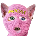 Ski Mask Cat (SKICAT)