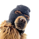 Ski Mask Dog (SKI)