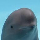 smiling dolphin (MIHARU)